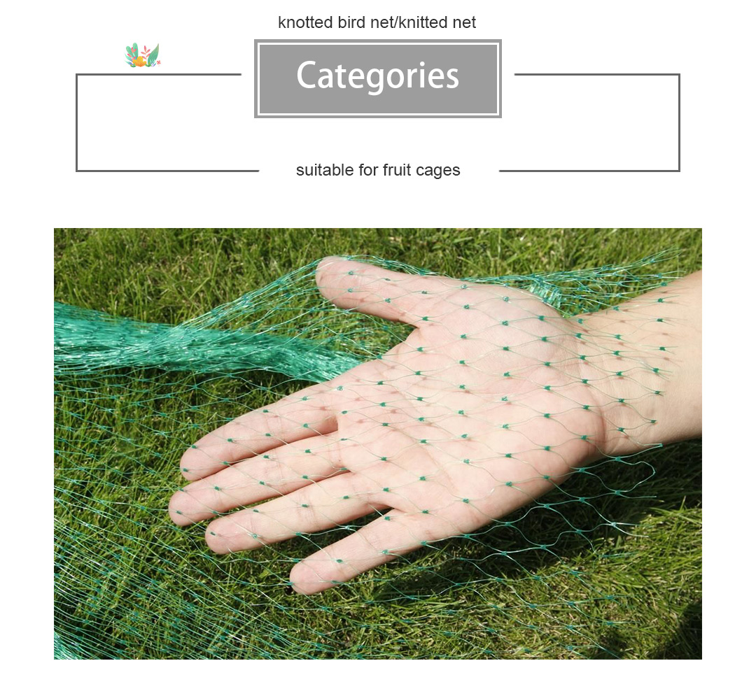 100% HDPE Agriculture Bird Protection NetManufacturer from China