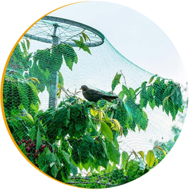 Heavy Duty Anti Bird Protection Mesh Net for Farms Vineyard ...