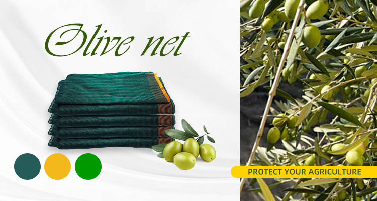 Factory Made Fruit Collector Harvesting Net Dark Green Triangular Olive Net